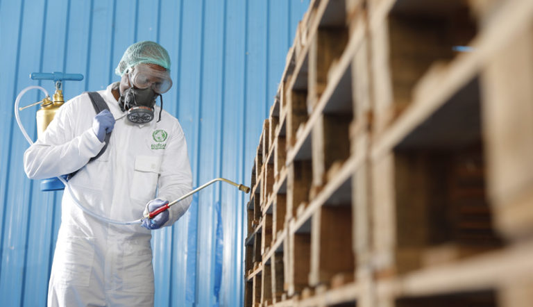 ECO CARE – Pest Control Services